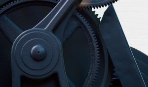 Pavonado - Grupo PEI